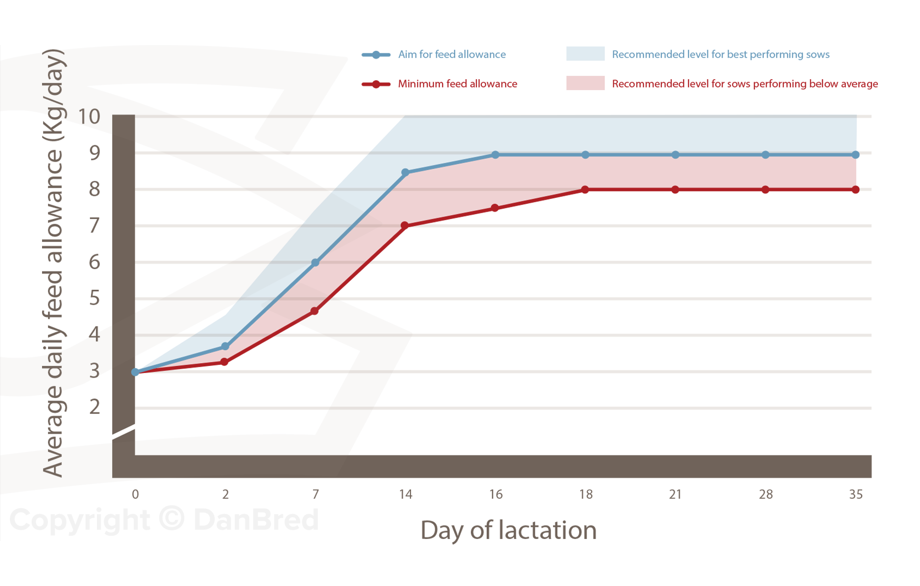 Feeding lactating sows – DanBred