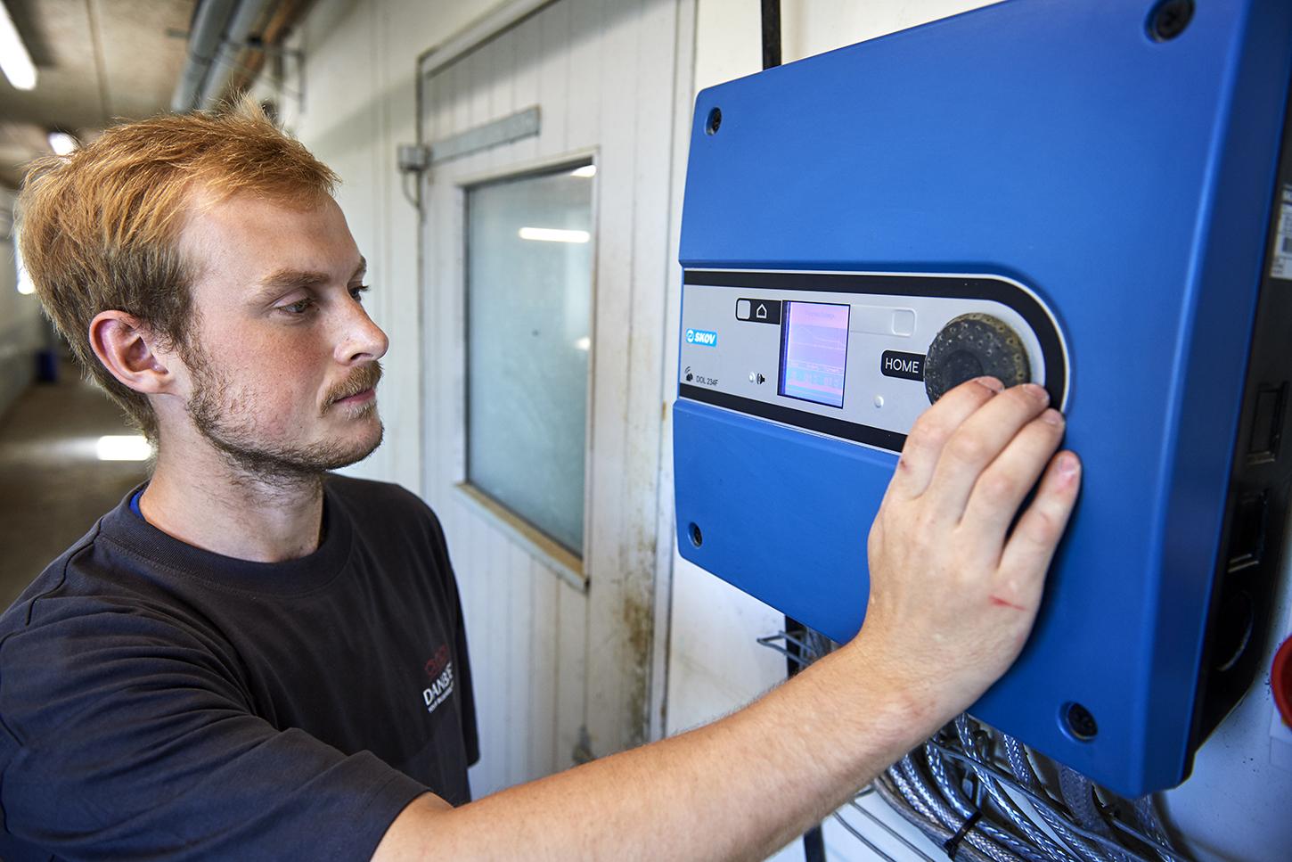 Feeding gestating sows – DanBred