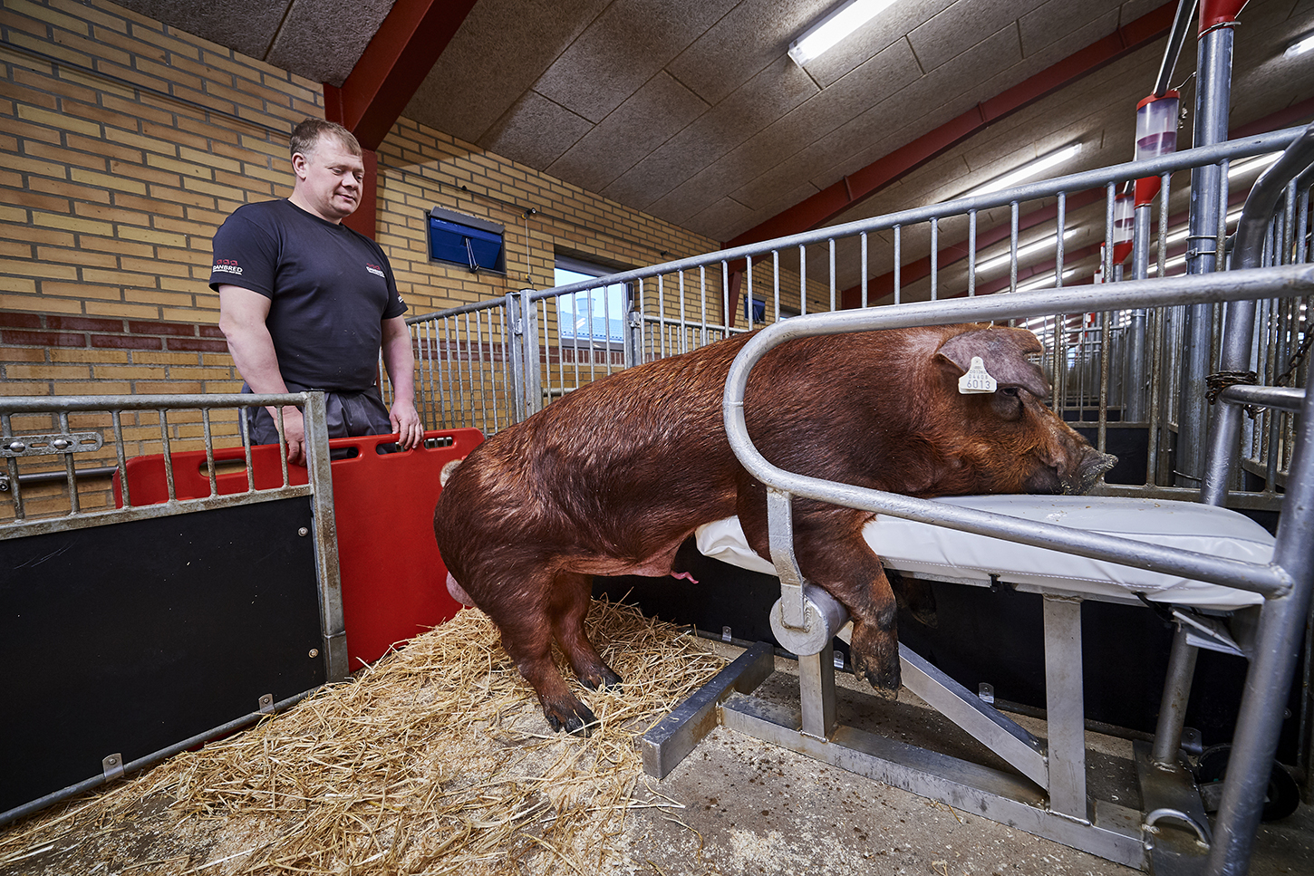 Training – DanBred