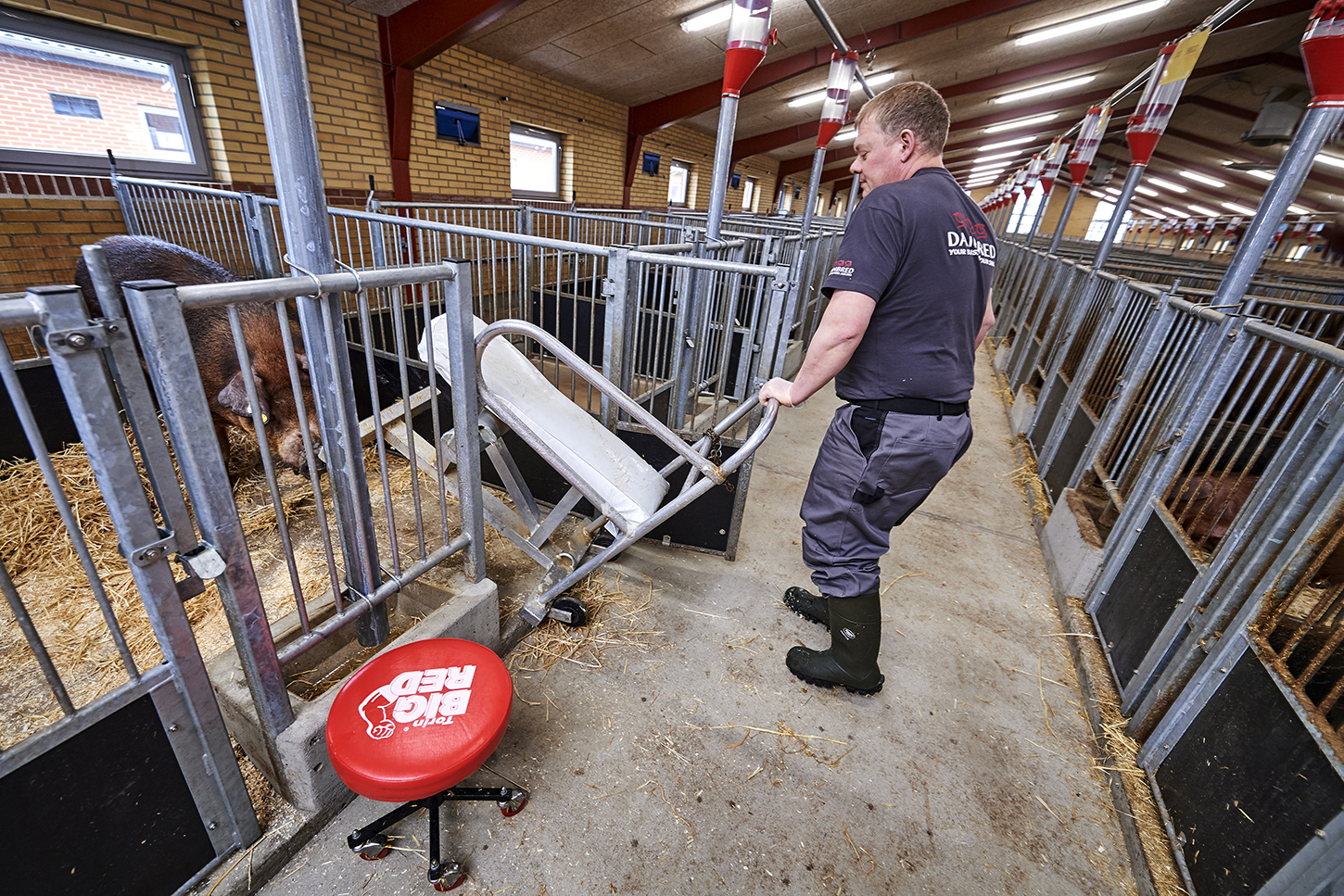 Training – DanBred