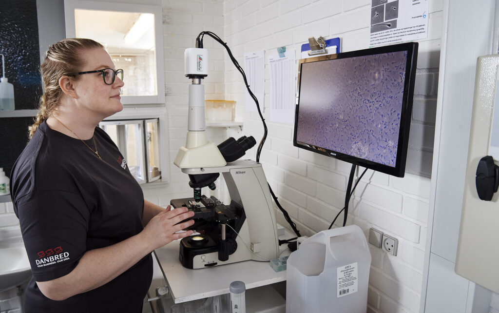 Laboratory – DanBred