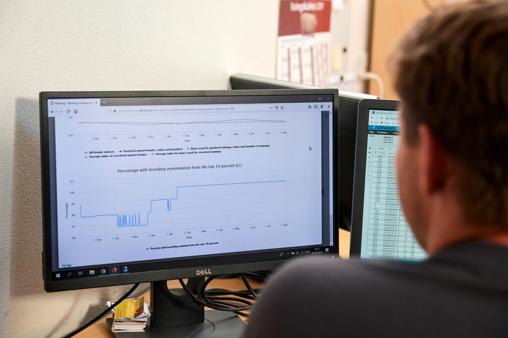 Genetic progress – DanBred