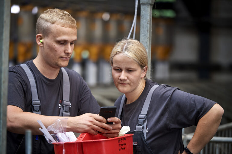 Quality assurance – DanBred