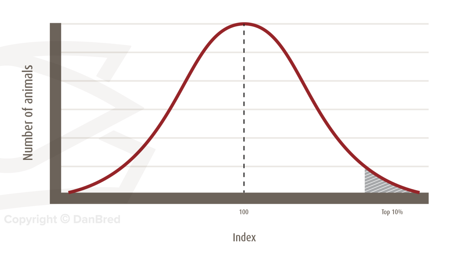 Genetic progress – DanBred