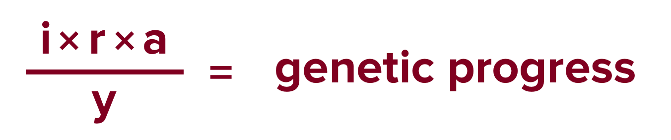 Genetic progress – DanBred