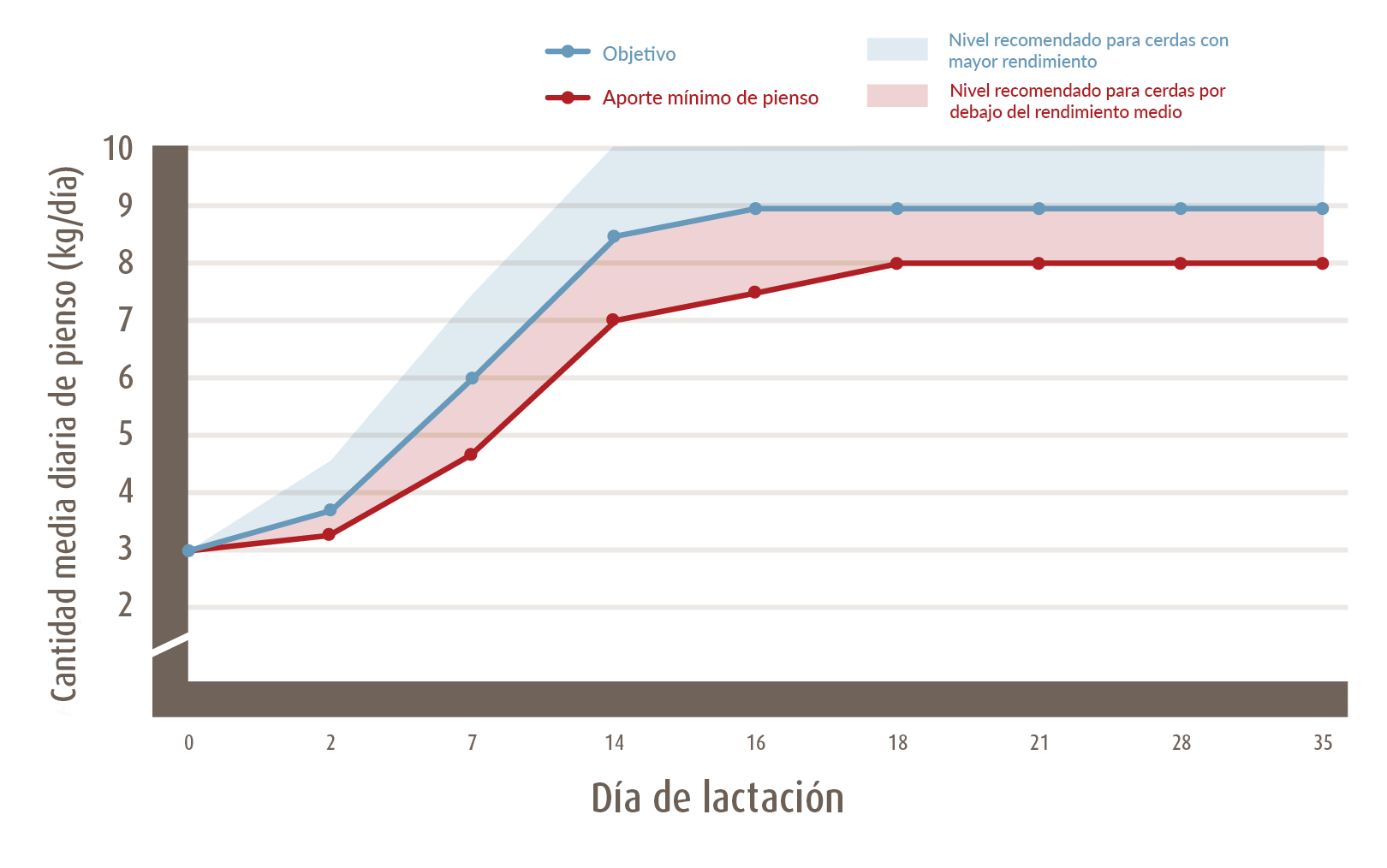Alimentación de cerdas en lactación – DanBred