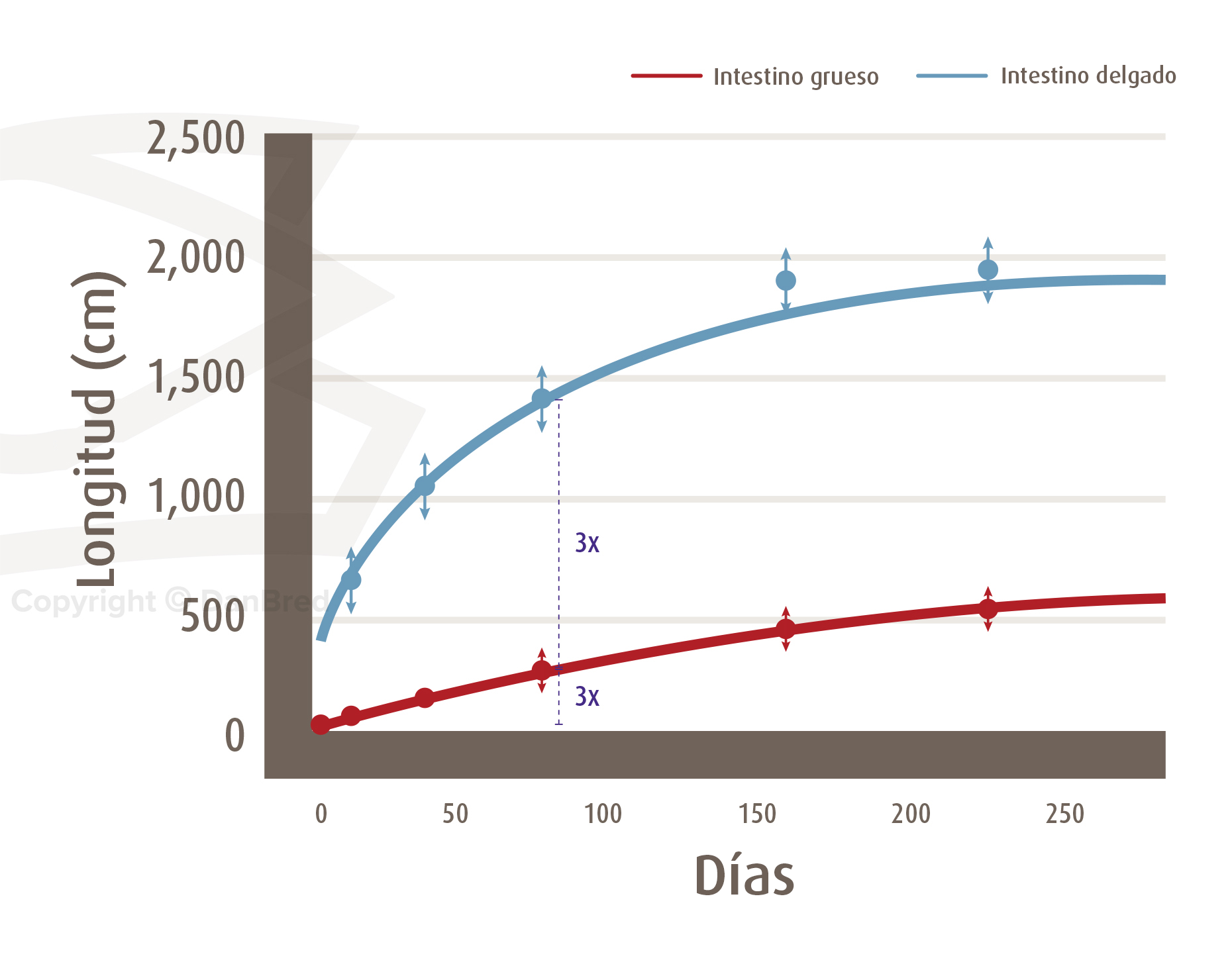 Alimentación de lechones DanBred – DanBred