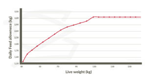Gilt Unit – DanBred