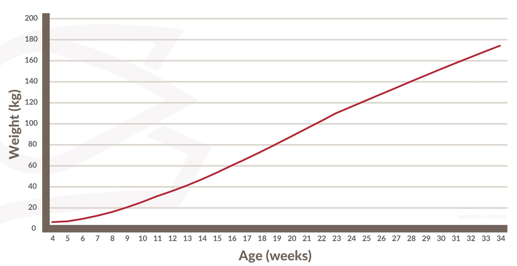 Gilt Unit – DanBred